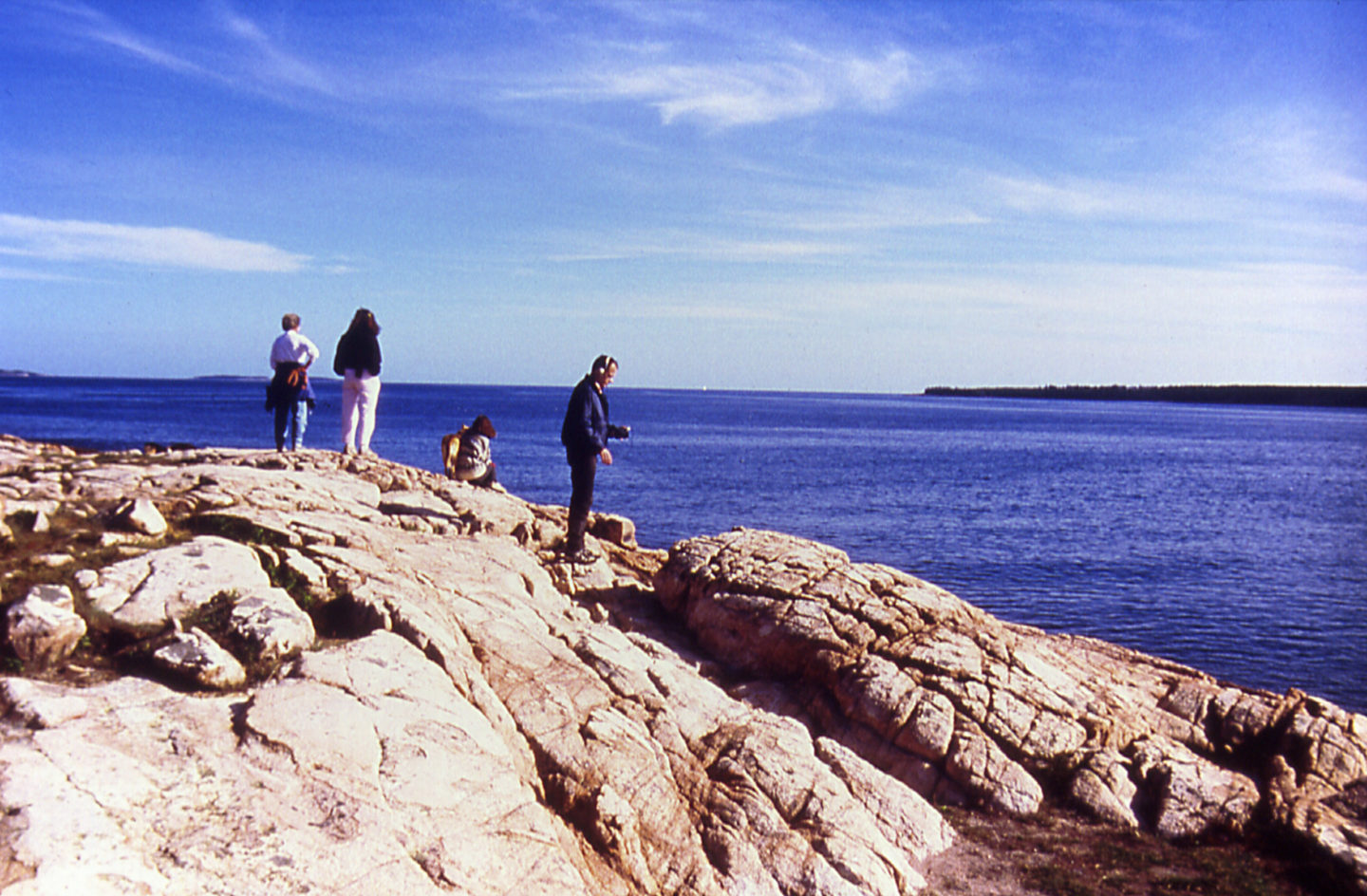 Growing Echo: The story of a lost genius named Arthur Russell - Loud ...