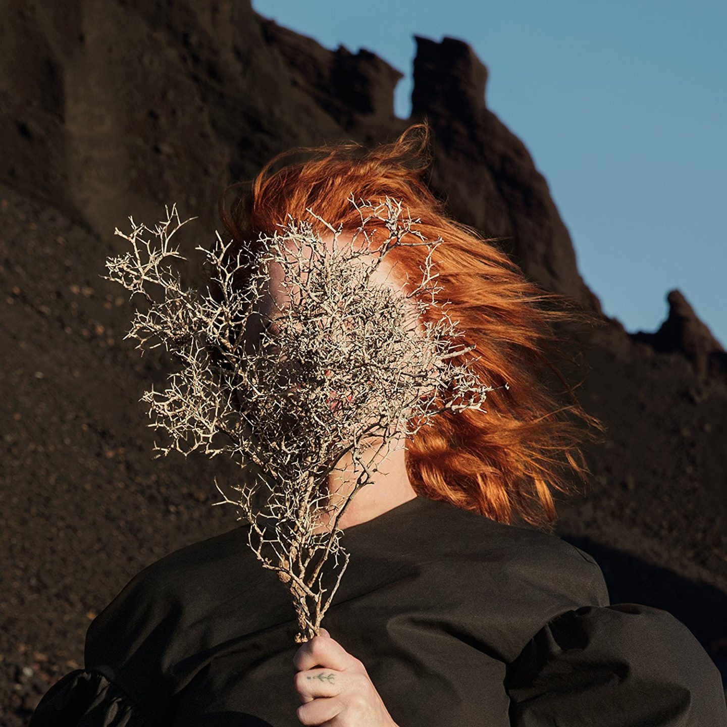 Goldfrapp - Silver Eye - Album review - Loud And Quiet