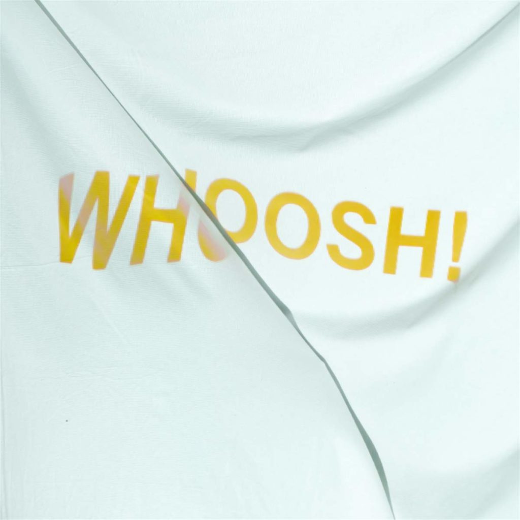 The Stroppies - Whoosh - Album review - Loud And Quiet