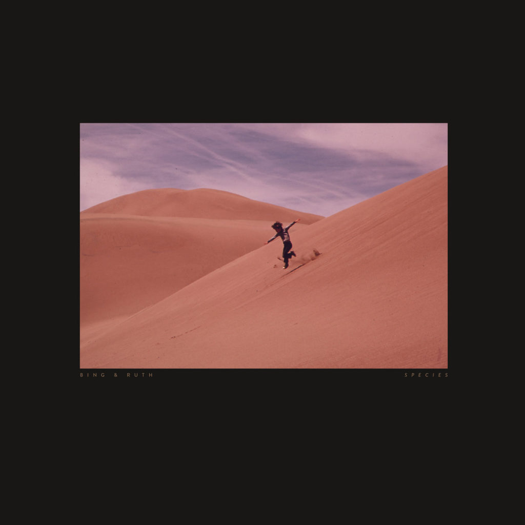 Bing & Ruth - Species - Album Review - Loud And Quiet