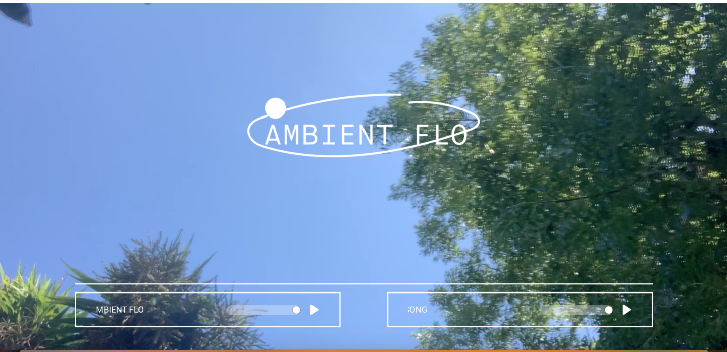 Ambient Flo - Loud And Quiet