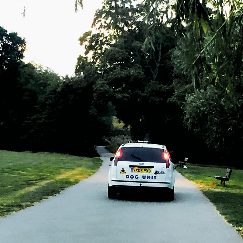 Dog Unit - Turn Right and Right Again - Loud And Quiet