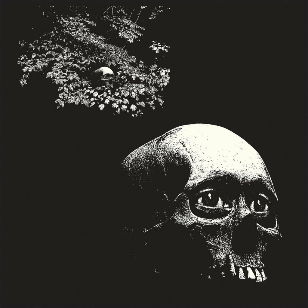 OSEES - A Foul Form - Album Review - Loud And Quiet